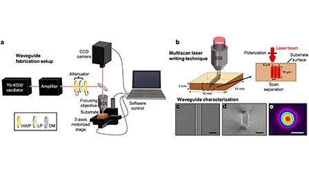 Photonic implementation of artificial synapses in ultrafast laser ...