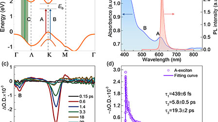 Revealing the interrelation between C- and A-exciton dynamics in ...