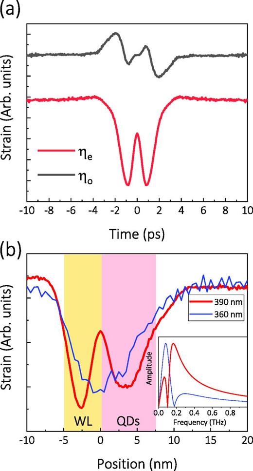 Ultrafast strain waves reconstruction from coherent acoustic phonons ...