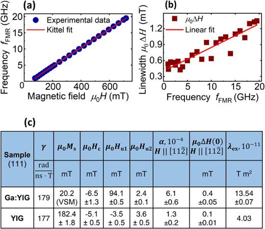Fast long-wavelength exchange spin waves in partially compensated Ga ...