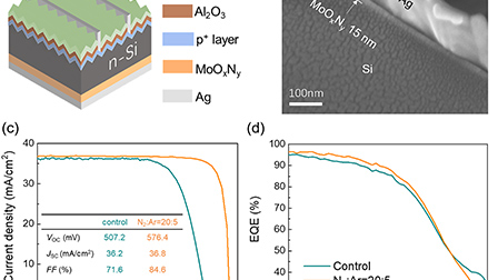 Tunable work function of molybdenum oxynitride for electron-selective ...