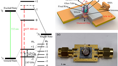 A microfabricated fiber-integrated diamond magnetometer with ensemble ...