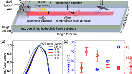 Perfectness of the main-chain alignment in the conjugated polymer films ...