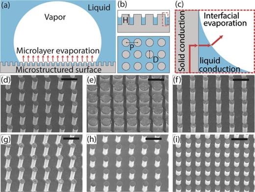 Microlayer evaporation governs heat transfer enhancement during pool ...