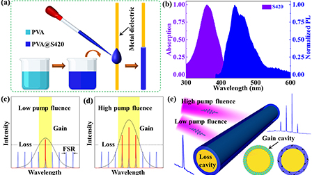 Electrically tunable WGM lasing in a metal-dielectric core–shell hybrid ...