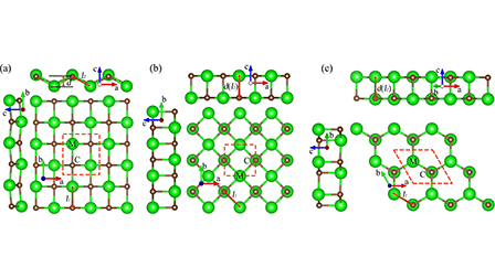 Two-dimensional tetragonal and hexagonal lattices of transition metal ...