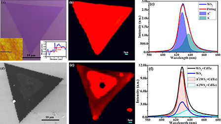 Emission enhancement and exciton species modulation in monolayer WS2 ...