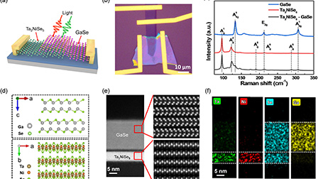 Two-dimensional Ta2NiSe5/GaSe van der Waals heterojunction for ...