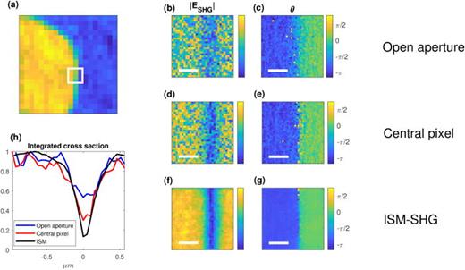 Super-resolved second harmonic generation imaging by coherent image scanning microscopy ...