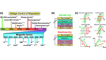 Voltage control of magnetism with magneto-ionic approaches: Beyond voltage-driven oxygen ion ...