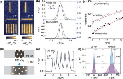 Oxygen vacancy dynamics in monoclinic metallic VO2 domain structures ...