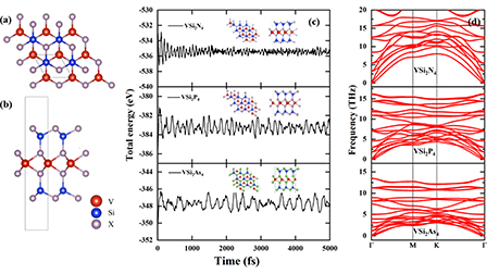 Electronic phase transition, spin filtering effect, and spin Seebeck ...