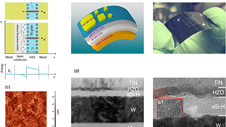 Flexible HfO2-based ferroelectric memristor | Applied Physics Letters ...