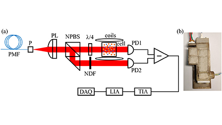 Single-beam integrated hybrid optical pumping spin exchange relaxation ...