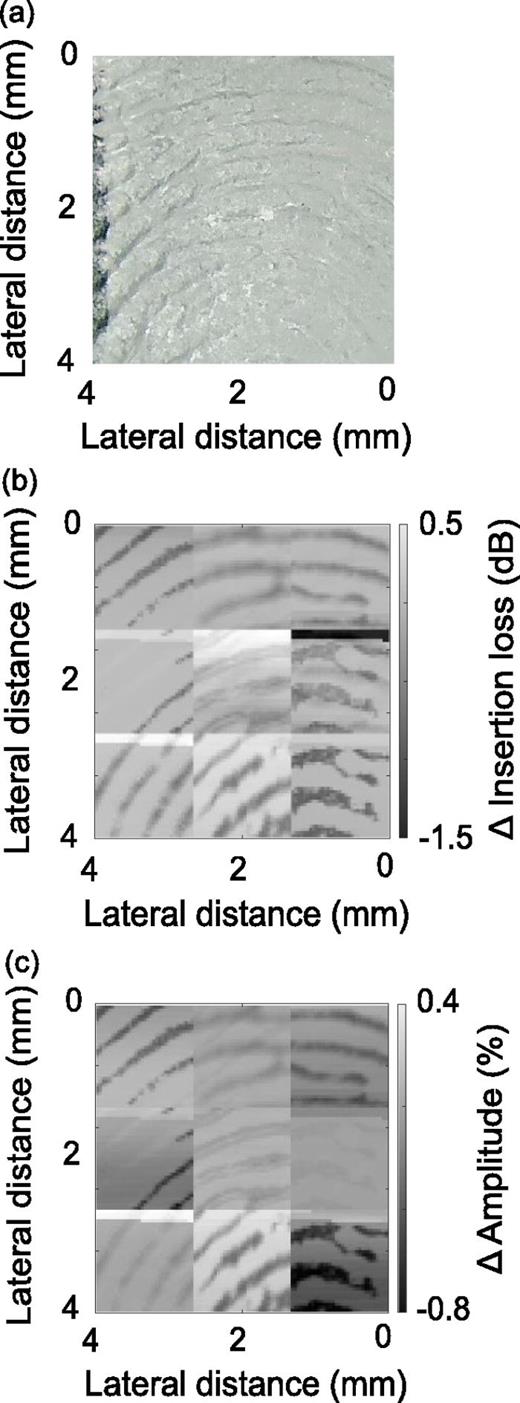 Giga-hertz ultrasonic reflectometry for fingerprint imaging using ...