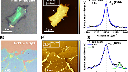 Helicity exchange and symmetry breaking of in-plane phonon scattering ...