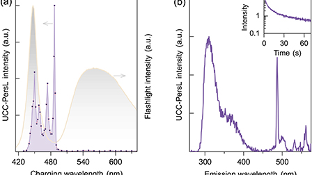 Charging storage phosphors using a white flashlight via the ...