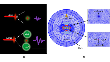 Surface-enhanced photoacoustic wave generation from light absorbers ...