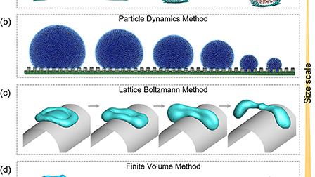 Drop impact dynamics on solid surfaces | Applied Physics Letters | AIP ...