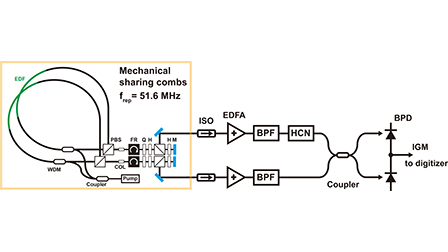 Dual-comb spectroscopy using free-running mechanical sharing dual-comb ...