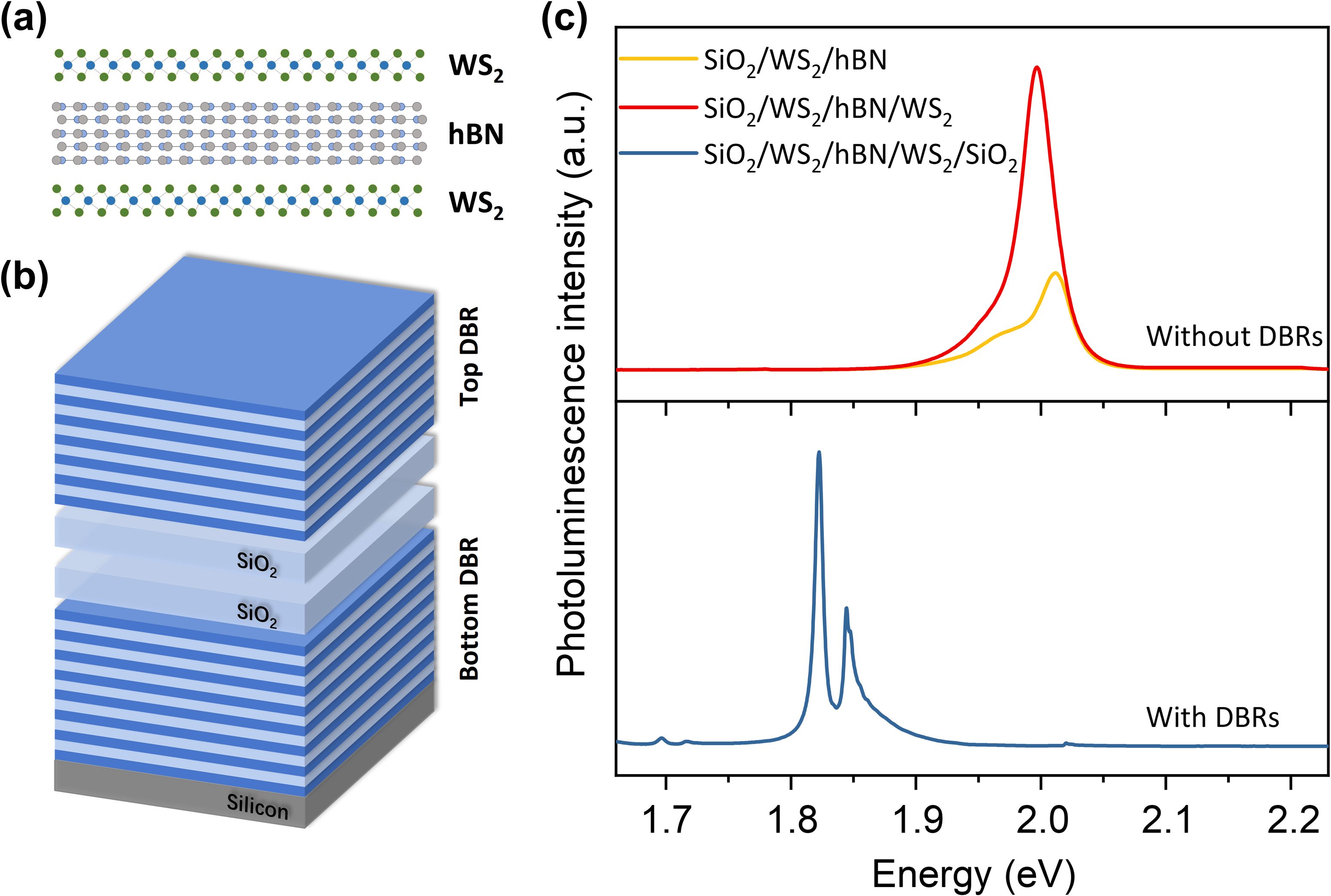 Exciton–polaritons of hBN/WS2 heterostructure in cavity observed at ...
