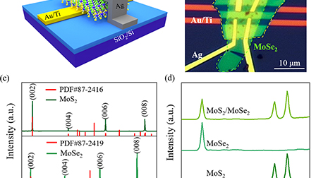 A memristor based on two-dimensional MoSe2/MoS2 heterojunction for synaptic device application ...