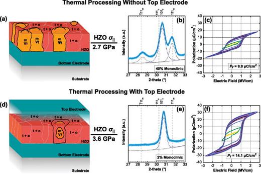 A Perspective on ferroelectricity in hafnium oxide: Mechanisms and ...