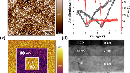 HfO2:Gd-based ferroelectric memristor as bio-synapse emulators ...