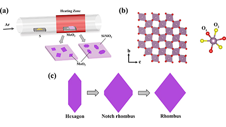 Anomalous narrow-band optical anisotropy of MoO2 crystal in the visible ...