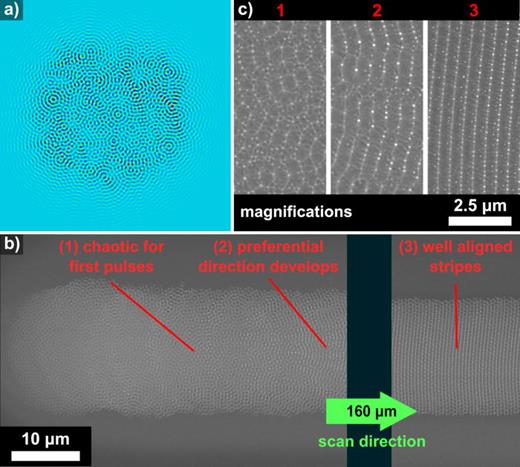 Scan direction of circularly polarized laser beam determines the orientation of laser-induced ...