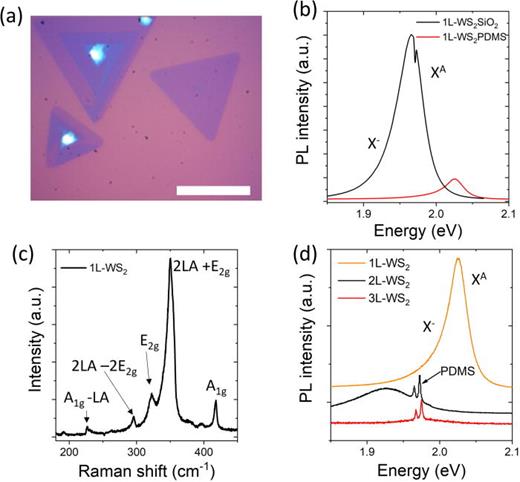 Exciton tuning and strain imaging in WS2 supported on PDMS micropillars ...