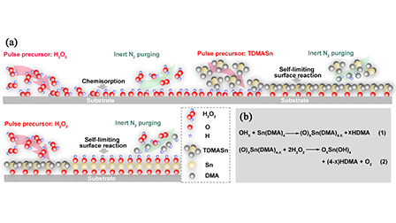 50 °C low-temperature ALD SnO2 driven by H2O2 for efficient perovskite ...