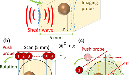 Ultrasound shear-wave computed tomography for elasticity imaging ...