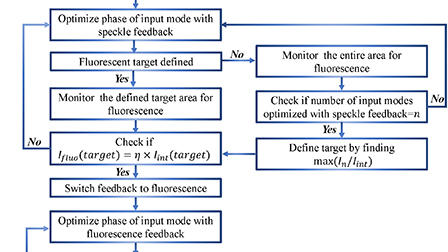 Multiple feedback based wavefront shaping method to retrieve hidden ...