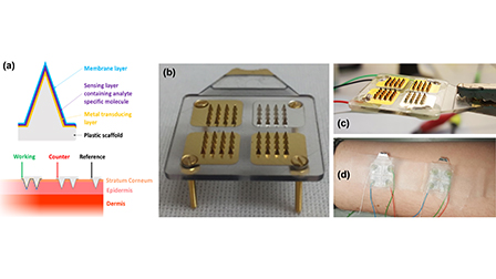 A Perspective on microneedle sensor arrays for continuous monitoring of ...
