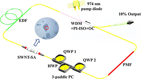 Spectral overlapping single-cavity dual-comb fiber laser with well ...