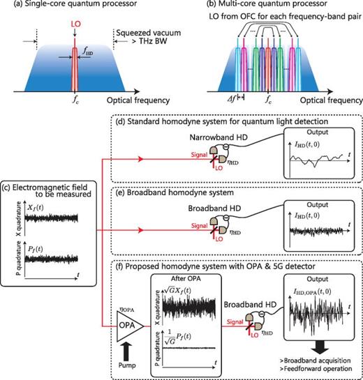 Toward a multi-core ultra-fast optical quantum processor: 43-GHz bandwidth real-time amplitude ...