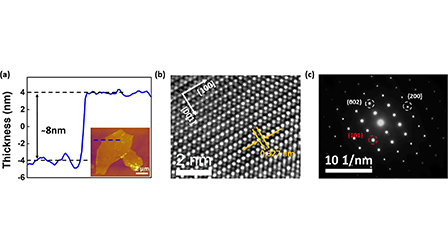 Piezoelectric substrate-induced strain engineering on tuning polarized ...