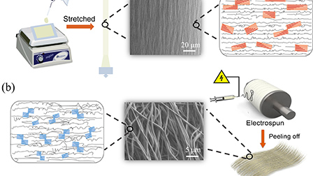 Enhancing the thermal conductivity in electrocaloric polymers by structural orientation for ...