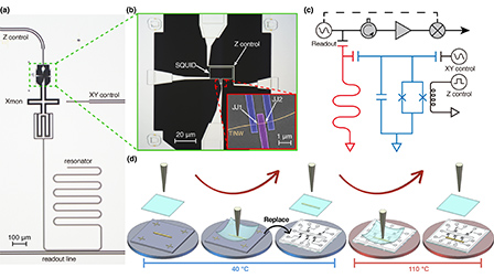 Realization of superconducting transmon qubits based on topological ...
