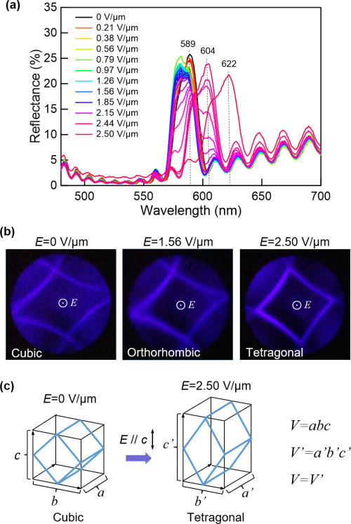 Electro-optics of blue phase liquid crystal in field-perpendicular ...