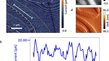 Moiré fringes in conductive atomic force microscopy | Applied Physics ...