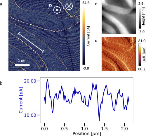 Moiré fringes in conductive atomic force microscopy | Applied Physics ...
