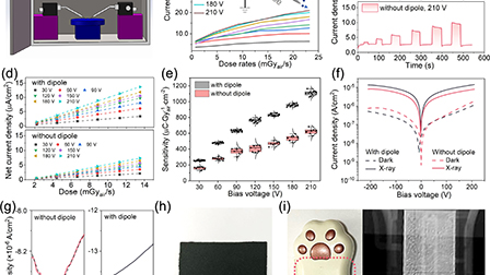 Ferroelectric dipole-MAPbI3 coupled x-ray detector | Applied Physics ...