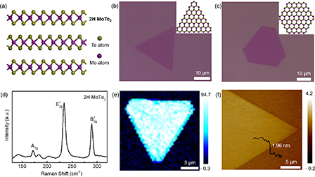 Robust temperature–strain coupling in phase and shape evolution of ...