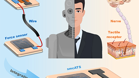 Integrated sensing–memory–computing artificial tactile system based on ...