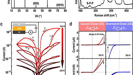 Ion migration induced bipolar diode effect and ferroelectricity ...