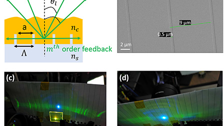 Distributed feedback lasers up to the 400th Bragg order with an organic ...