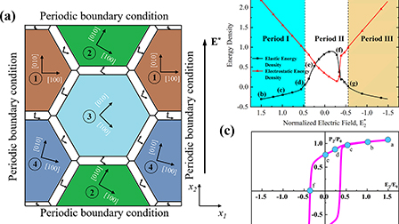 Ferroelectric domain switching pathways—From grain boundary to grain ...
