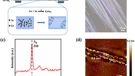 Controllable preparation and photoelectric properties of oriented two-dimensional GeSe2 nanobelt ...